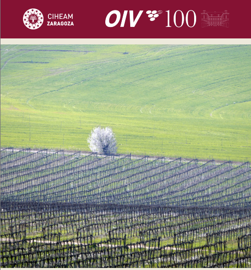 OIV Courses | OIV